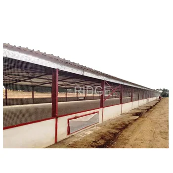 Africa Chicken Prefab Broiler Poultry Farm House Building For 10000 ...