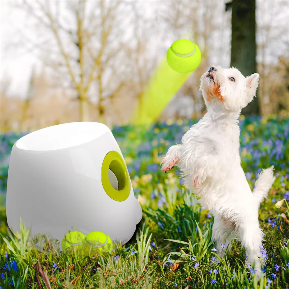 Dropshipping AFP Interactive Dog Ball Launchers - Fun & Fitness