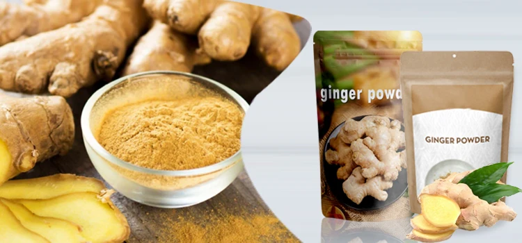 Manchurian Wild Powder Ginger Root Extract Gingerols - Buy Ginger Root ...