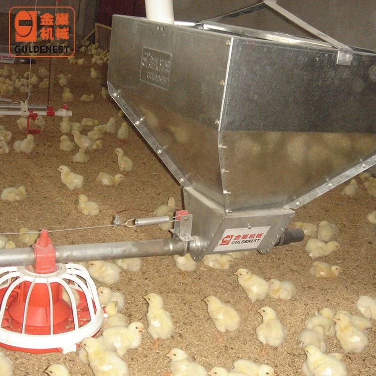 Automatic Broiler Feeding Equipment Metering Cylinder Feeder - Buy Pig ...