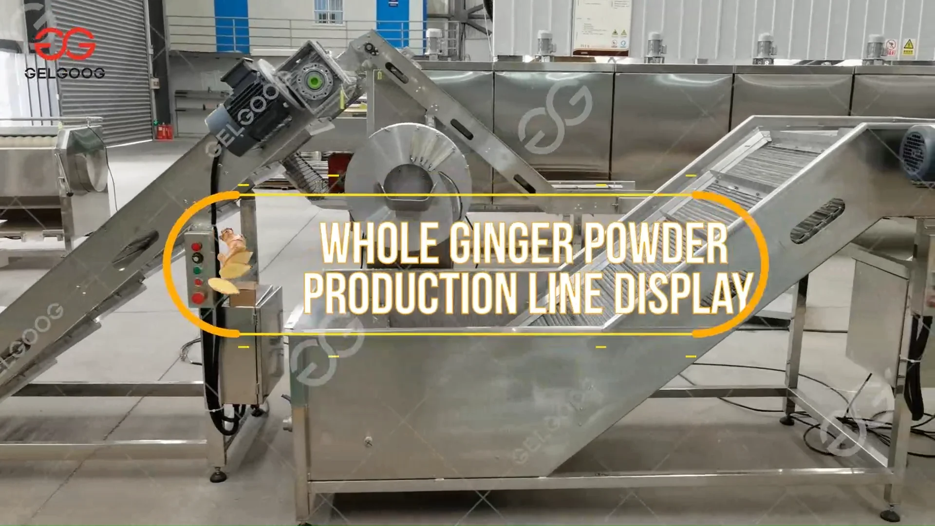 Gelgoog Turmeric Processing Plant Dry Ginger Powder Machine Industrial ...