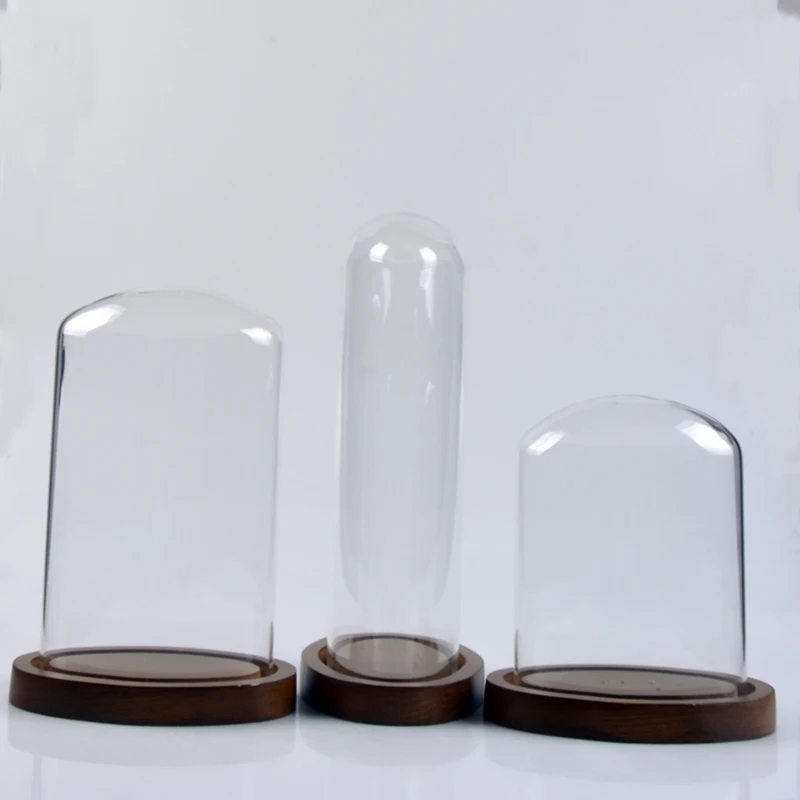 Square / Oval Glass Dome With Wood Stand - Buy Square Glass Dome With ...