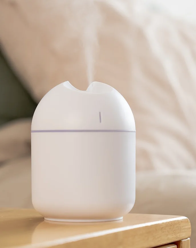 Hot Sale 250ml H2o Mini Cup Spray Mist Humidifier Aroma Essential Oil ...