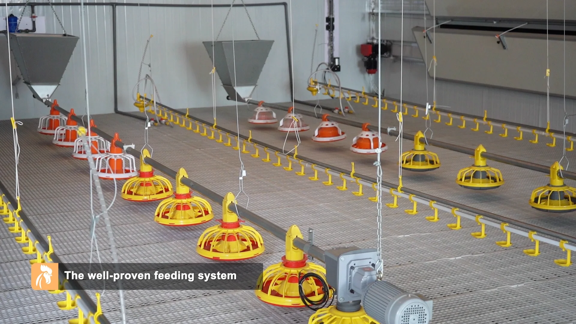 Automatic Poultry Farming Equipment Flooring System For Broiler Chicken ...