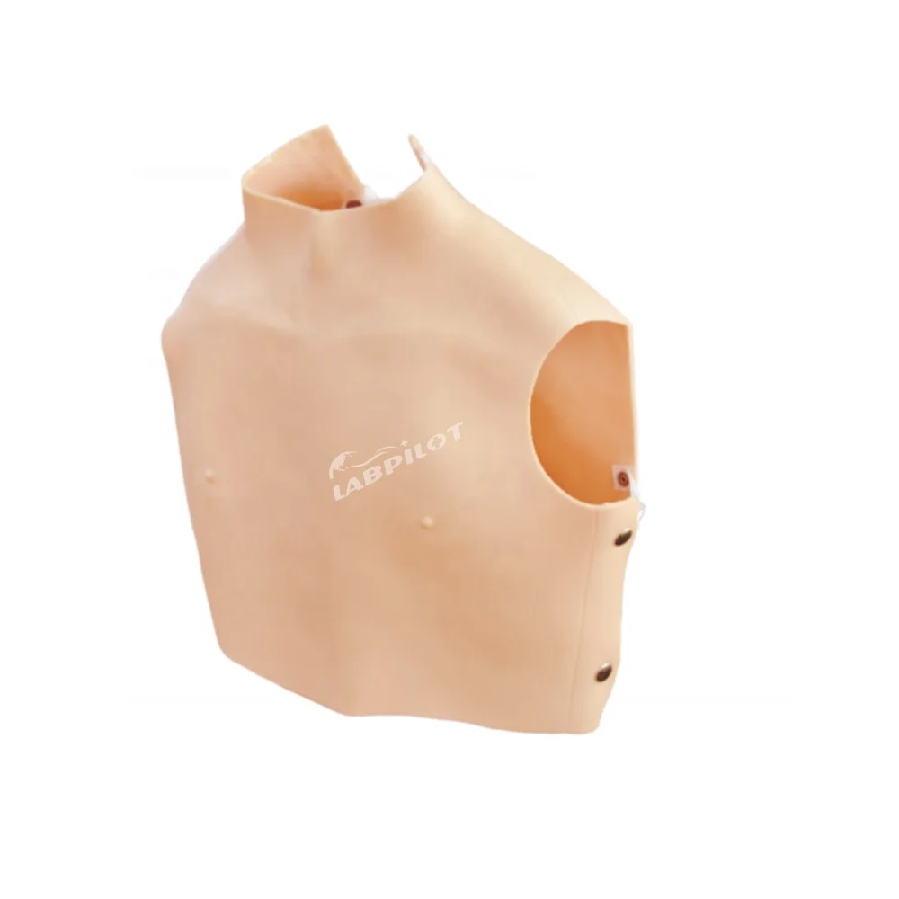 Cardiopulmonary Auscultation Simulator - Smart Heart & Lung Sounds ...