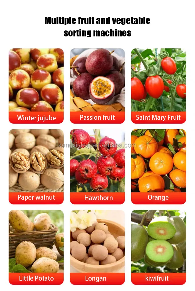 Commercial Jujube Dates Grader Cherry Tomatoes Sorter Passion Fruit ...