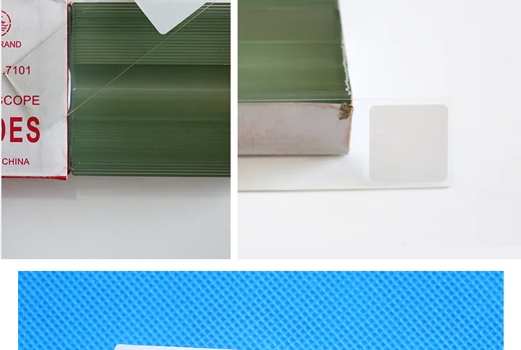 High Quality Microscope Slides - Ideal for Medical Education