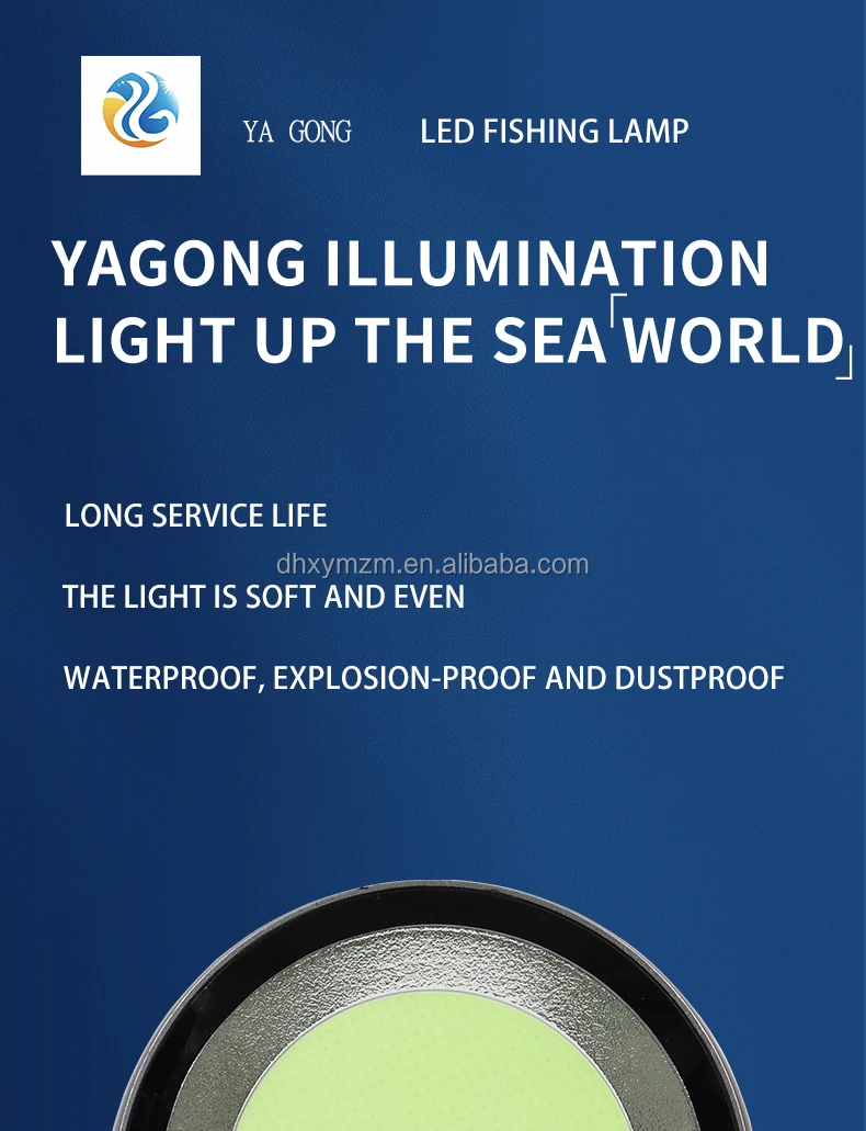 1000w Led Fishing Light On Water Fishing Finder Lights Ship Lamp Squid ...