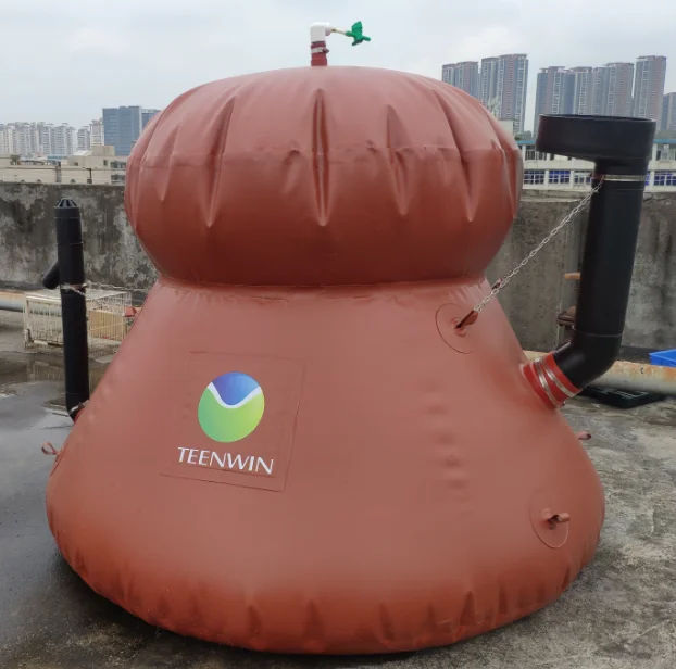 Family Size Biogas Plant Digester Biogas - Buy Biogas Digester Plant ...