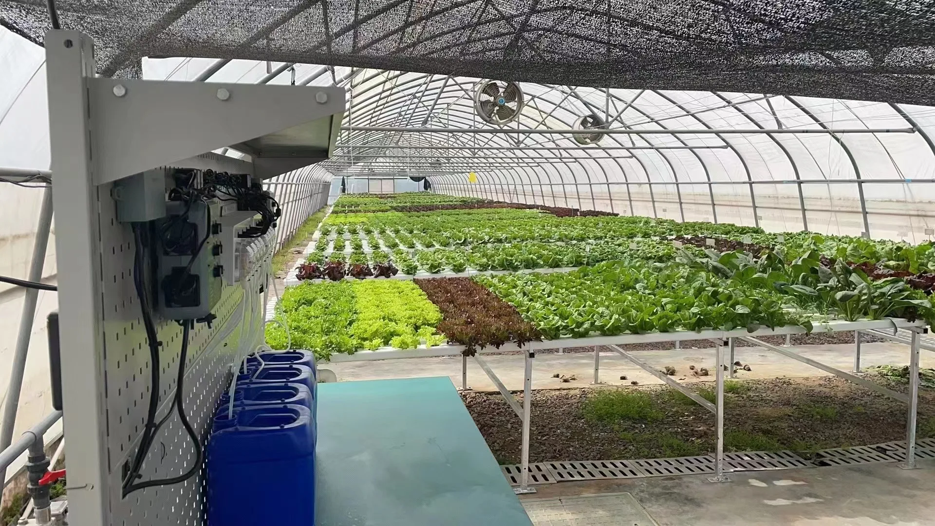 FM Hydroponics Kit - Digital Nutrient Controller & Pump Set