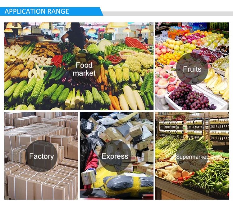 150kg Mechanical Dial Spring Portable Scale With Bowl - Buy Spring ...