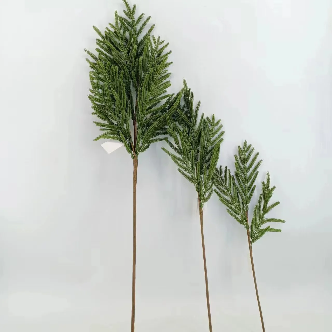 Factories Wholesale Norfolk Pine Stems Touch Soft Green Plant Home ...