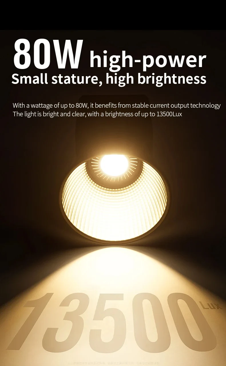 ZU80 COB Fill Light - Dual Color Temperature 80W LED