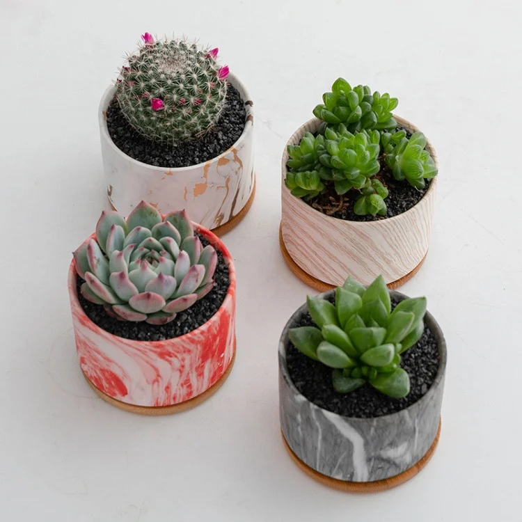 Nordic Marble Patterns Plant Pots - Durable Ceramic