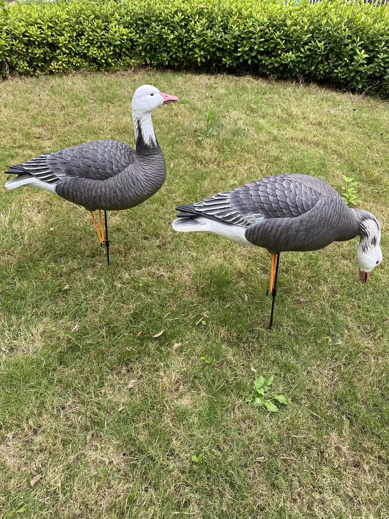 Realistic Goose Hunting Decoys - Lightweight & Easy to Carry