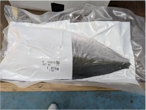 Fresh Yellowtail Fillet Wholesale Frozen Seafood Fish Importers - Buy ...