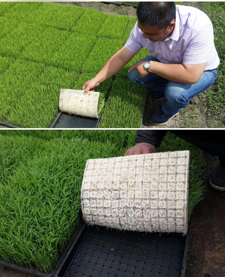 Hot-selling Thick Heavy-duty Plastic Propagation Seed Flat Plate with ...