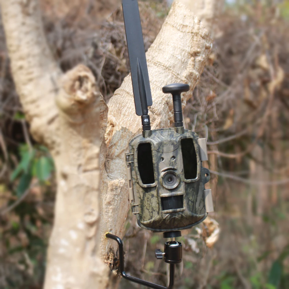 Tree Mount Screw Fixing Bracket For Hunting Trail Camera 1/4 Inch 360 ...