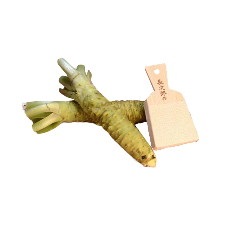Japan Wholesale Raw Mustard Moutarde Sushi Ginger Wasabi Wsb - Buy ...