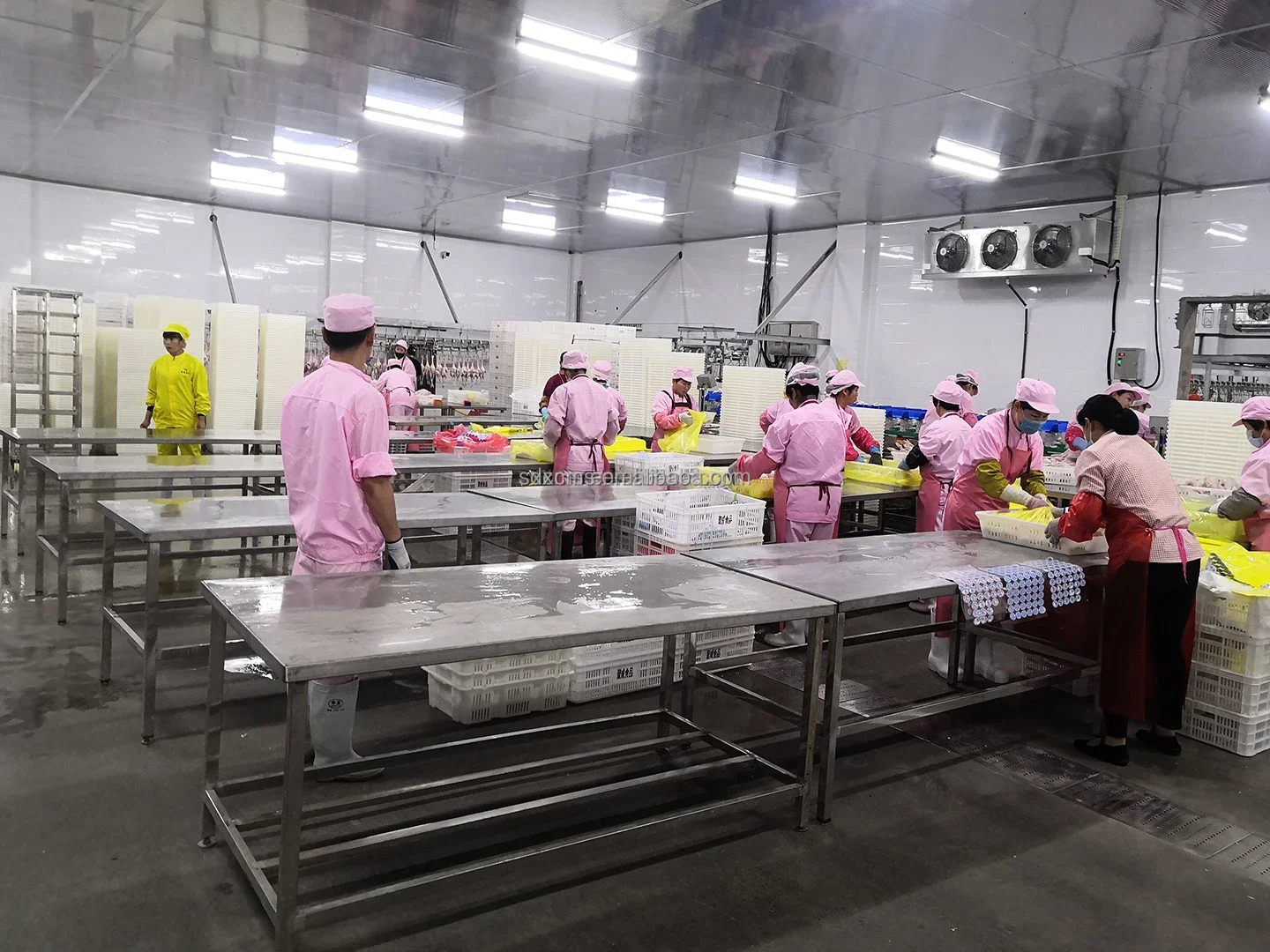 1000/hour Chicken Slaughter Line - High Efficiency Poultry Processing