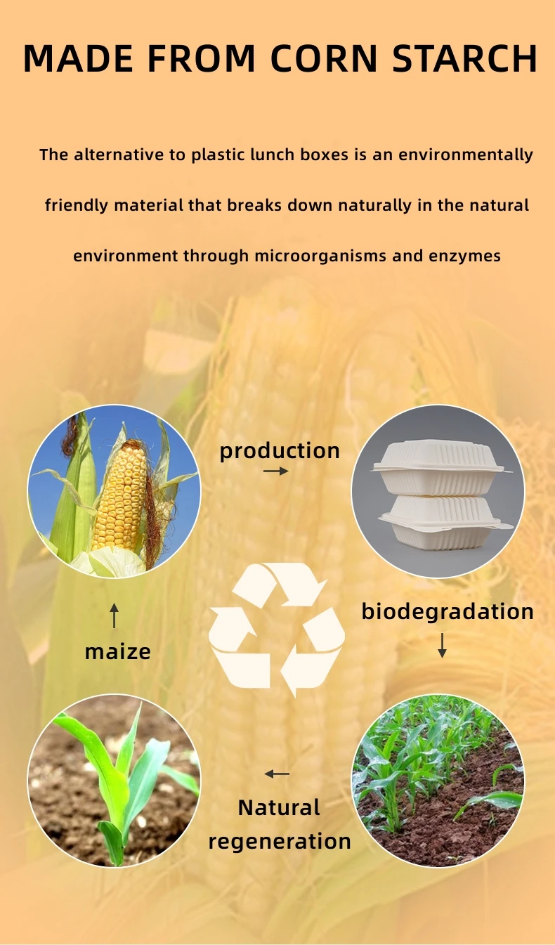Compostable Eco-friendly Cornstarch Food Container Biodegradable Container Disposable Pla Corn ...