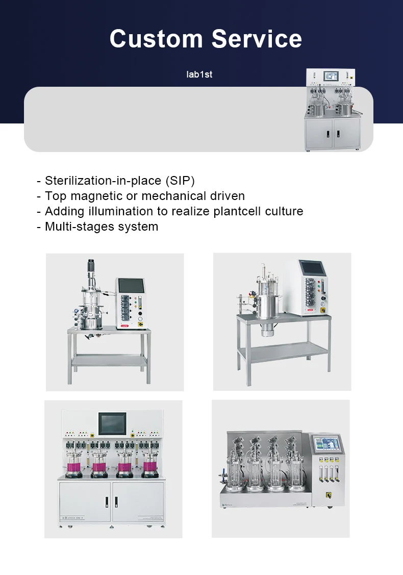 OEM Benchtop Bioreactor 5l Mycellium Cells Plant Sten Cell Culture 1L ...