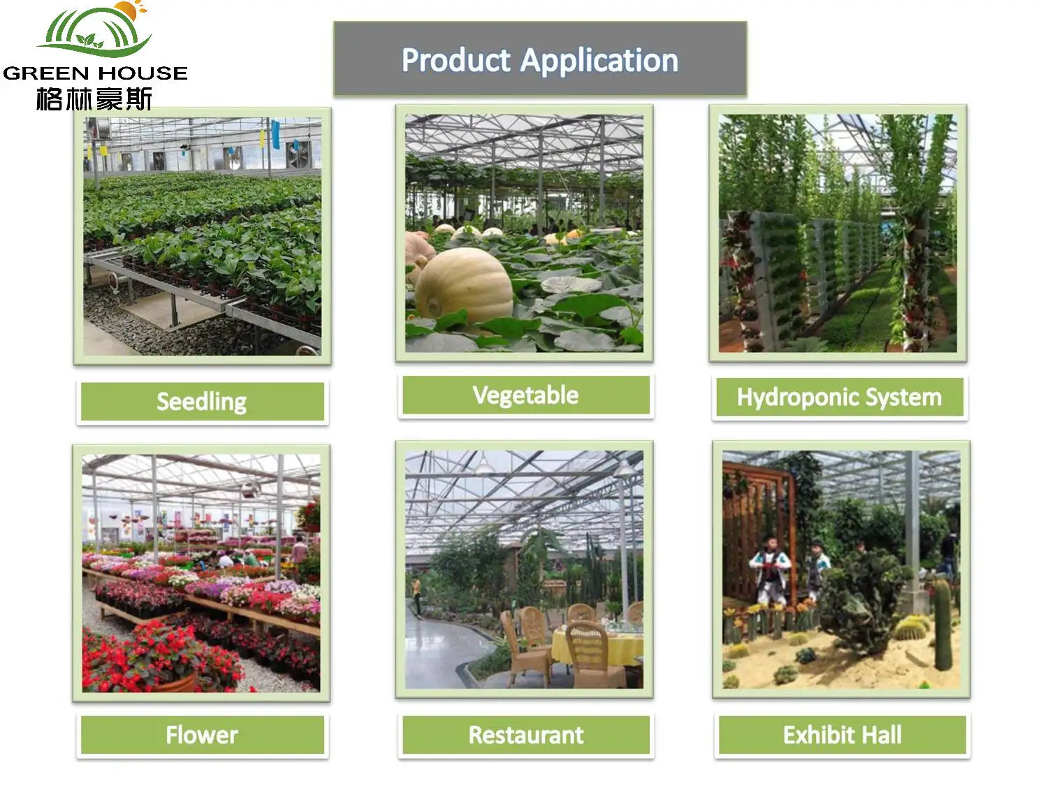 Multi Span Pc Greenhouses Structure With Hydroponic System For Planting ...