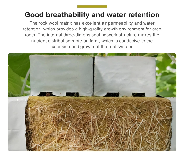 Boyun-agricultural Greenhouse Rock Wool Cubes Hydroponic Grow For ...