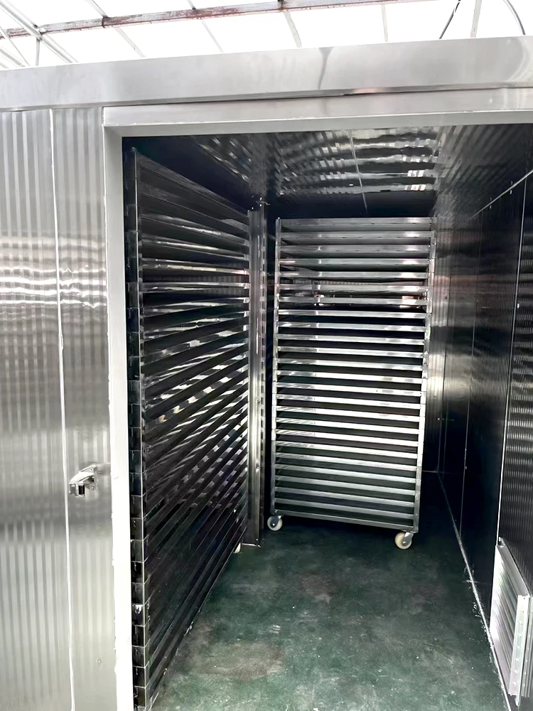 Garlic Peeling Production Line - Efficient Drying Solutions