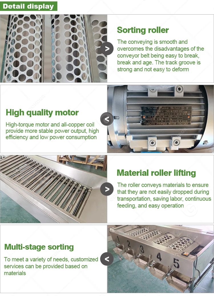 Apple Onion Orange Blueberry Potato Avocado Date Fruit Tomato Sorter ...