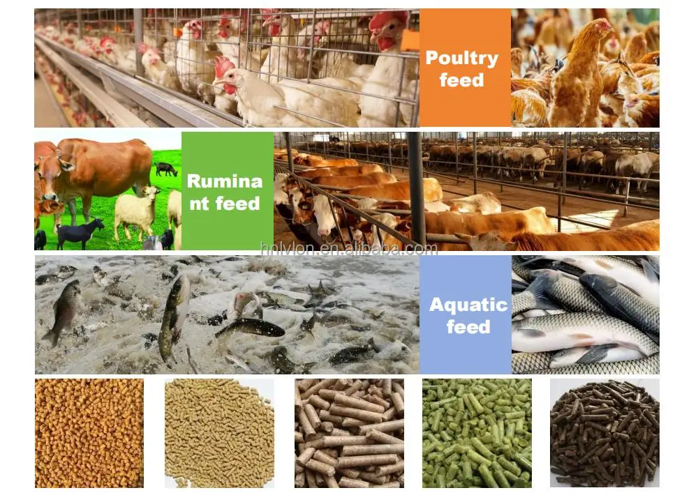 Wholesale Machine Diesel Engine Animal Pellet Machine For Animal Feeds ...