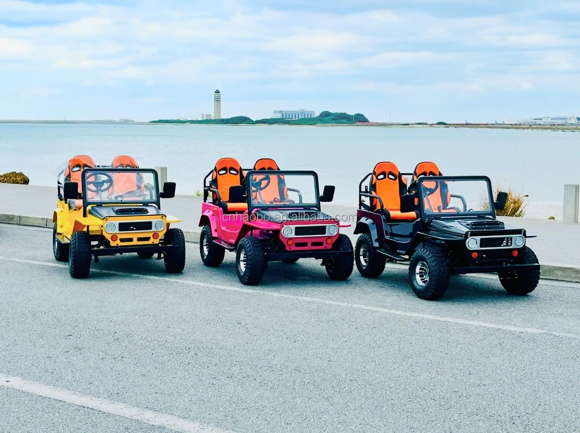 150cc Mini Land Cruiser UTV for Kids - 4WD & CVT Power