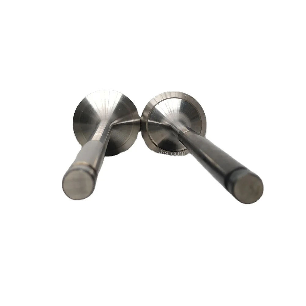 6AY Engine Spare Parts Exhaust Valve 148620-11110/148620-11180 Inlet ...