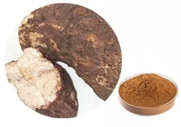 Factory Supply High Quality Poria Cocos Powder Poria Cocos Extract ...