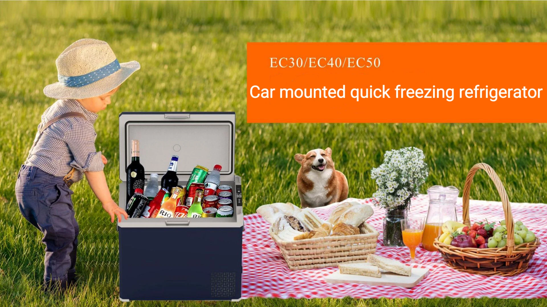 General Motors Vehicle Refrigerator 12v24v220v - Dual-purpose