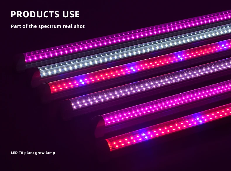 Red Color T8 Led Tube Light Blue 720nm Led Sprout Light Grow Uvb Lights ...