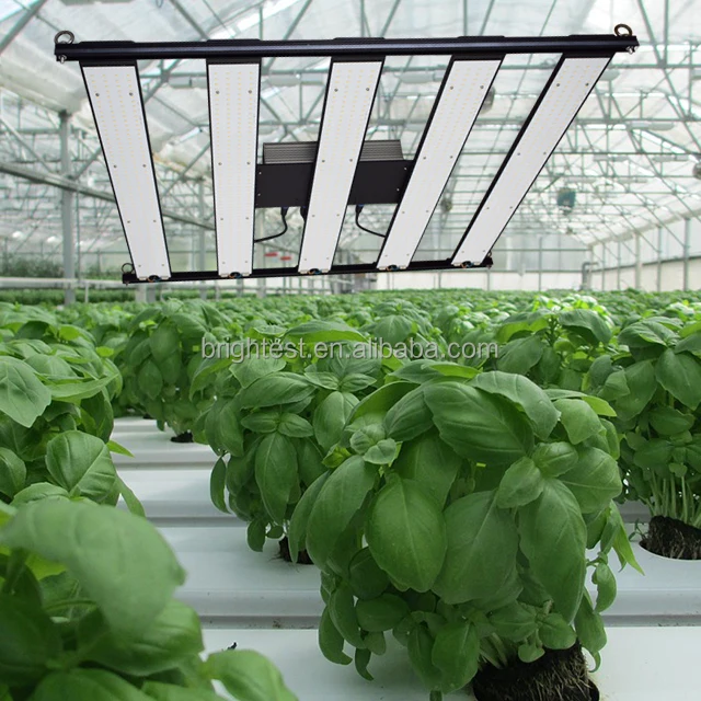 480W LED Plant Lights - Efficient Hydroponics Grow Lights
