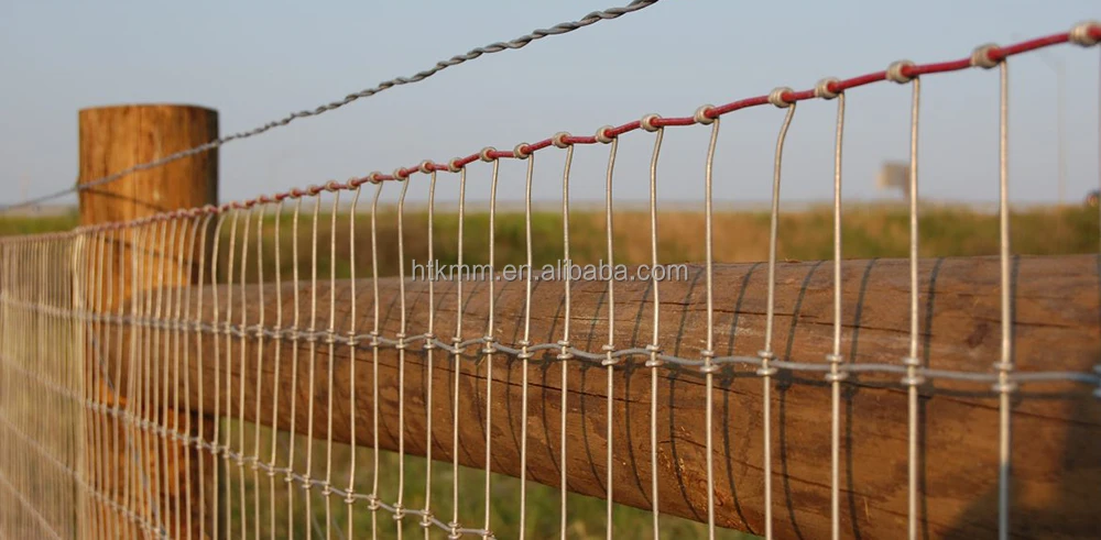 Stay Fence / Non Climb Stay Fence / Horse Field Fencing - Buy Stay ...