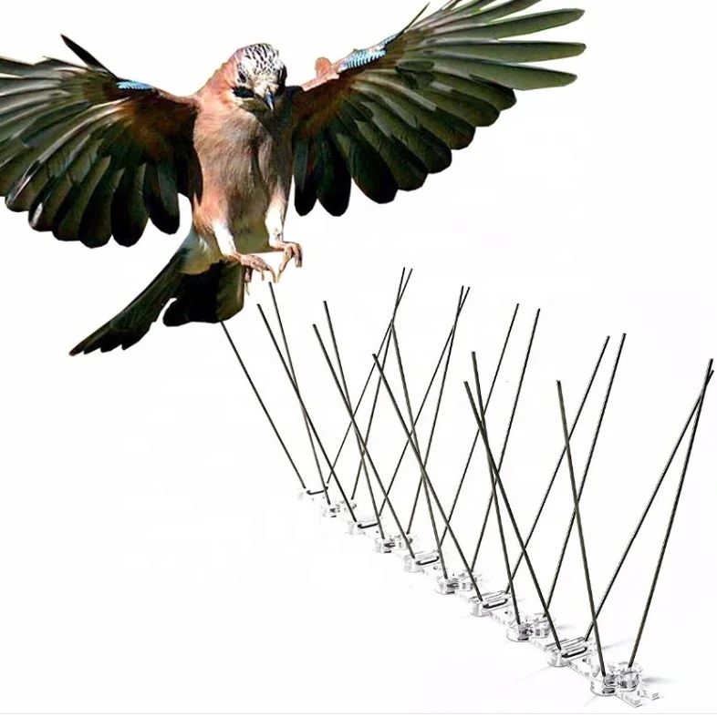 Stainless Steel Bird Spikes With Abrazine Base - Buy Stainless Steel ...