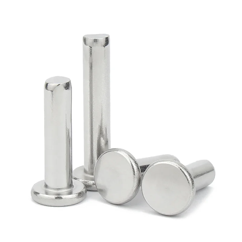 Din7338 Gr4.8/8.8/10.9/12.9 3-10mm Zinc Galvanized Hdgi Solid Rivet ...