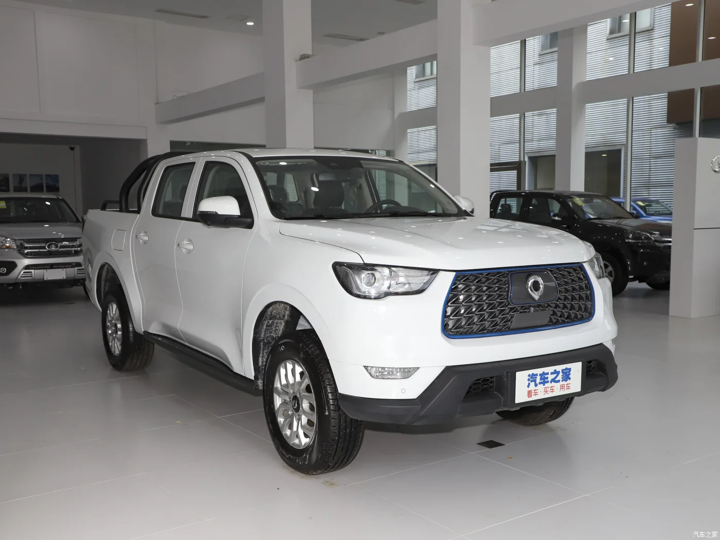 Changcheng Great Wall Poer 2023-2024 EV Truck Electric Pickup