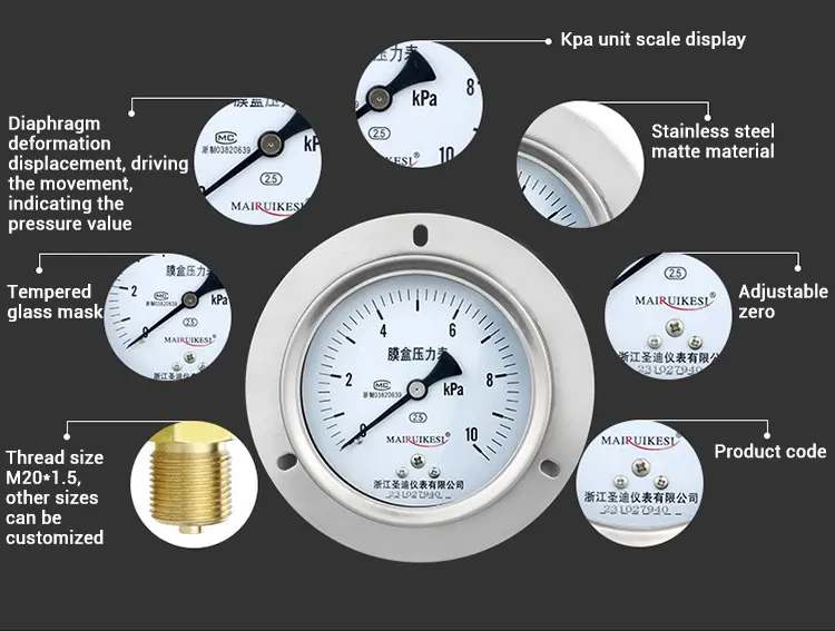 All Stainless Steel Flange Pressure Gauges NPT1/2 Thread Connection ...