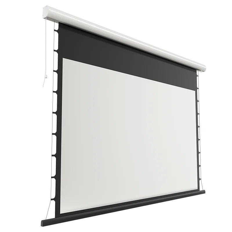 Wireless Outdoor Motorized Projector Screen - Rechargeable