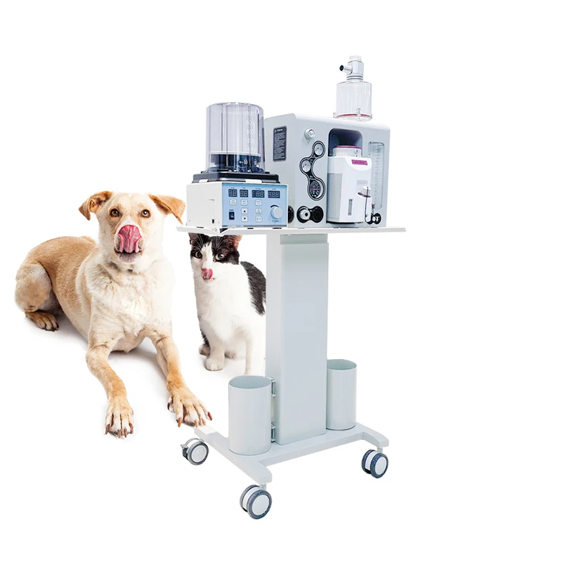 Hospital Veterinary Anesthesia Machine Vet Pet Clinic Anesthesia ...