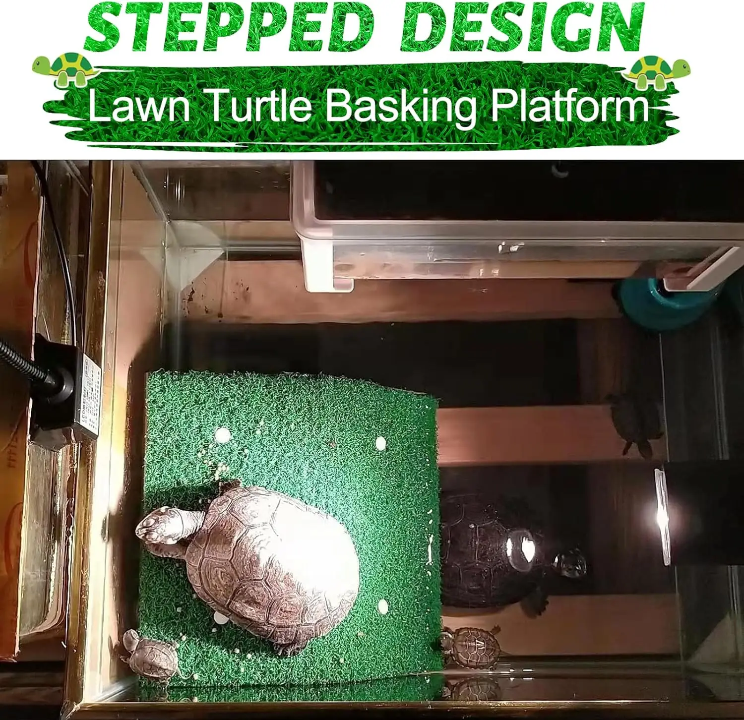 Turtle Resting Basking Platform Simulation Grass Turtle Ramp, Lawn ...