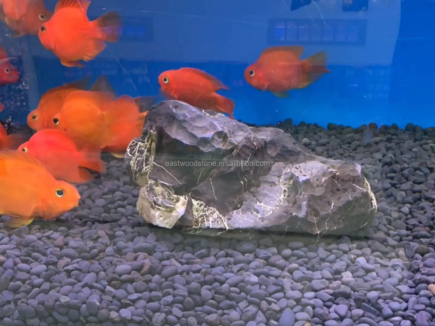 Natural Grey Aquascaping Rocks for Aquarium Hardscape