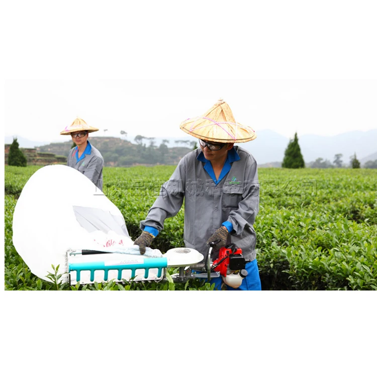 Professional Tea Picking Machine Tea Leaf Picker With Lithium Battery ...