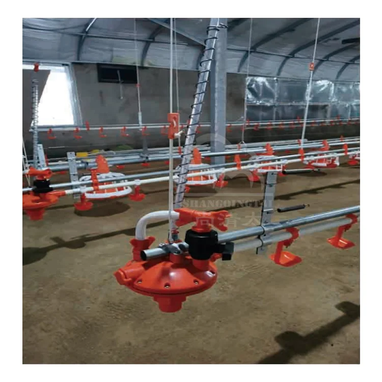 Automatic Drinking Water System for Poultry Complete Poultry Project Poultry Farm Equipment ...