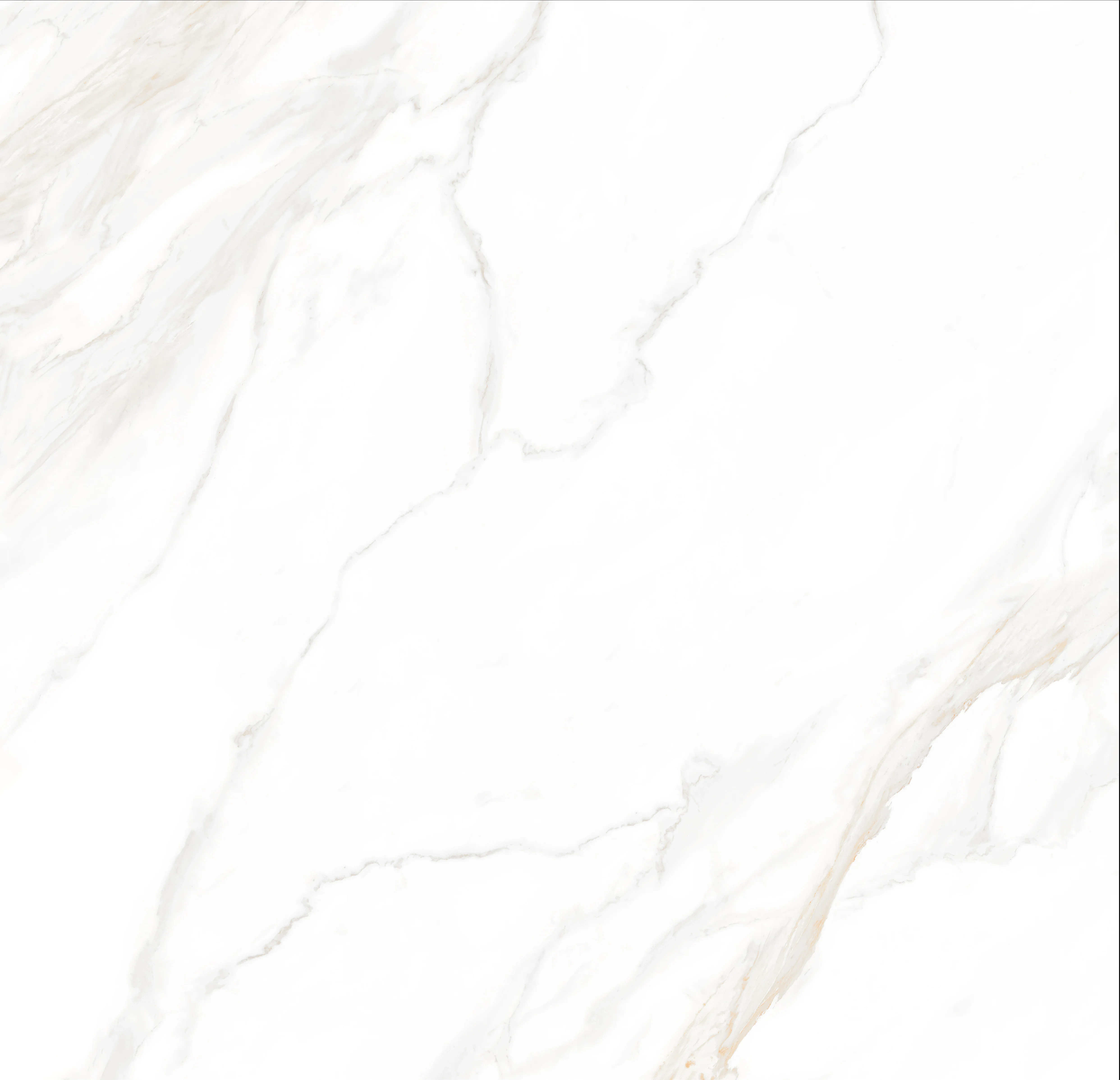 White Homogeneous Tiles