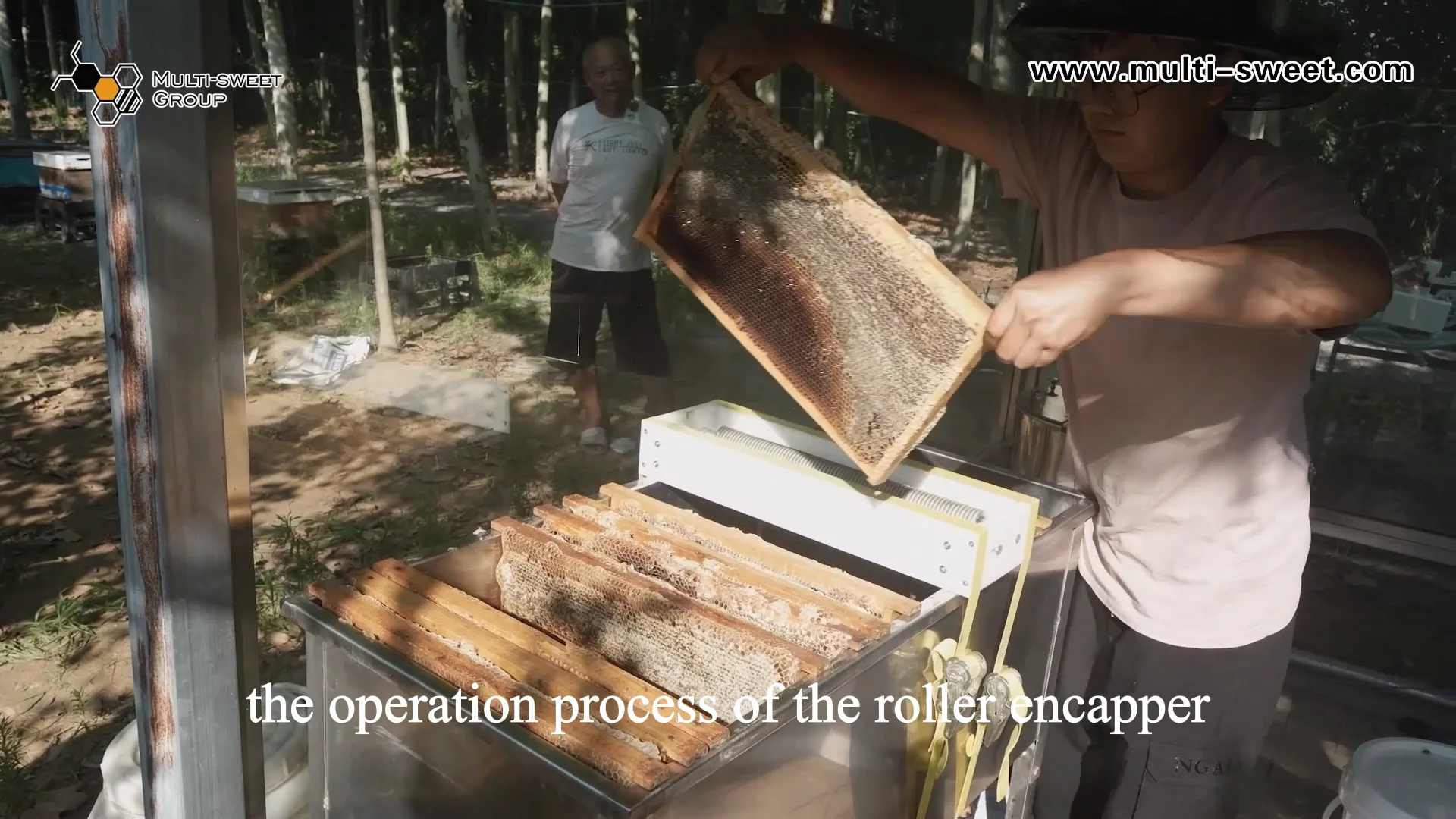 304 Stainless Steel Honey Filtering Equipment Honey Bee Strainer ...